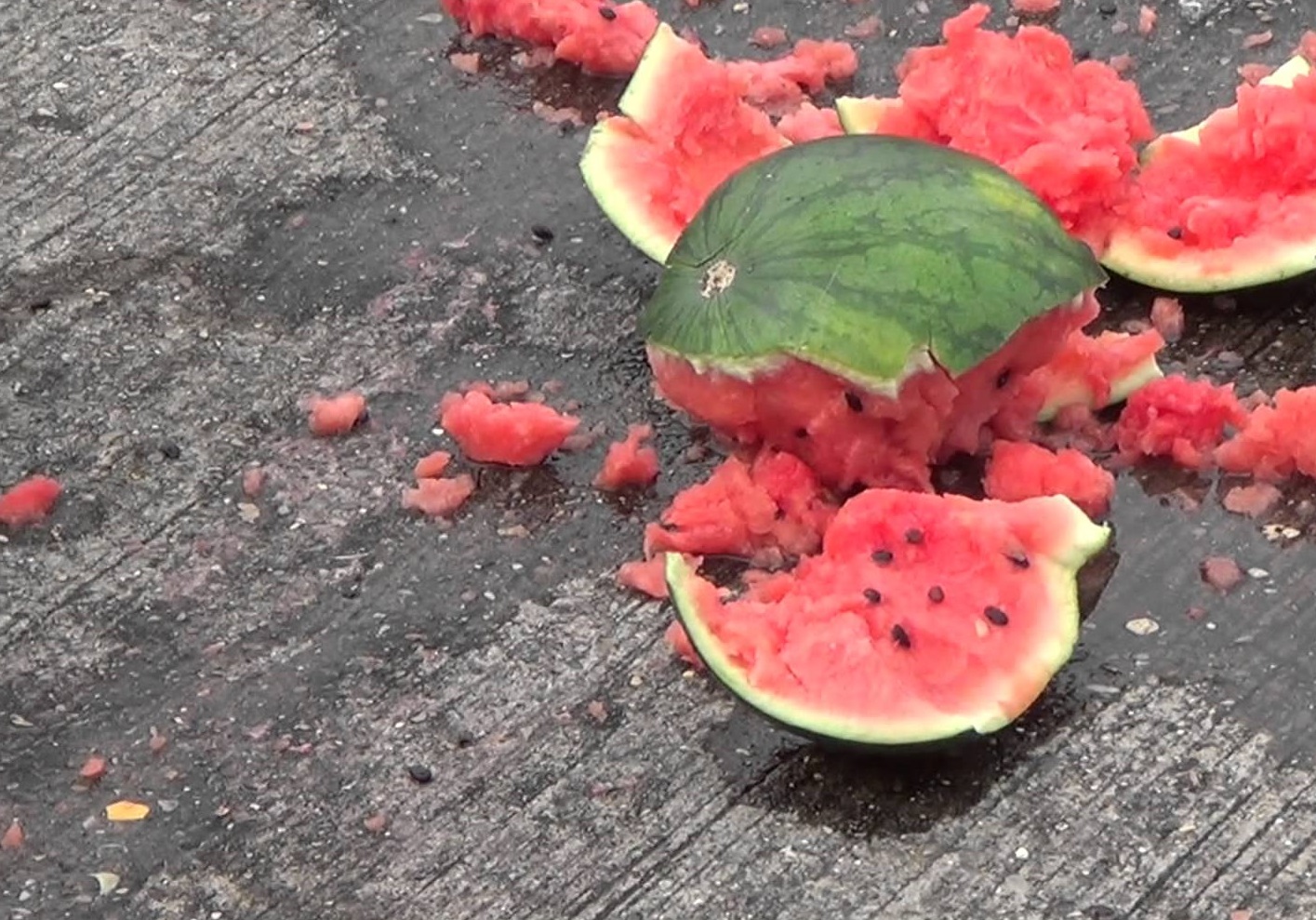 A Broken Melon, and the Lessons of Good Networking – All Together Now